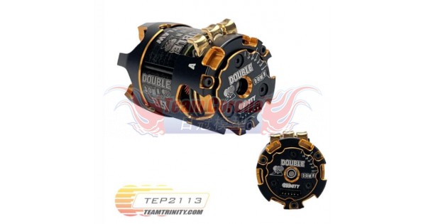Trinity Double Down 13.5T Outlaw Brushless motor #TEP2113